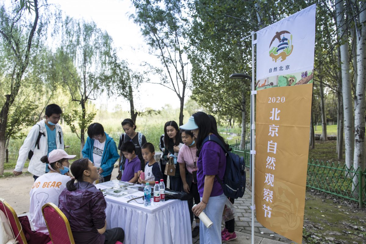2020 Beijing Nature Watch Festival Held Successfully | Shan Shui ...
